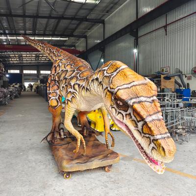 Chine Jurassic Park taille réelle modèle de dinosaure animatronique personnalisé pour Park à vendre