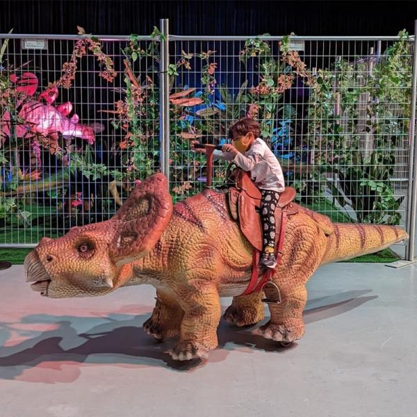 Quality Custom Electric Walking Dinosaur Ride Animatronic Triceratops Dinosaurs For for sale