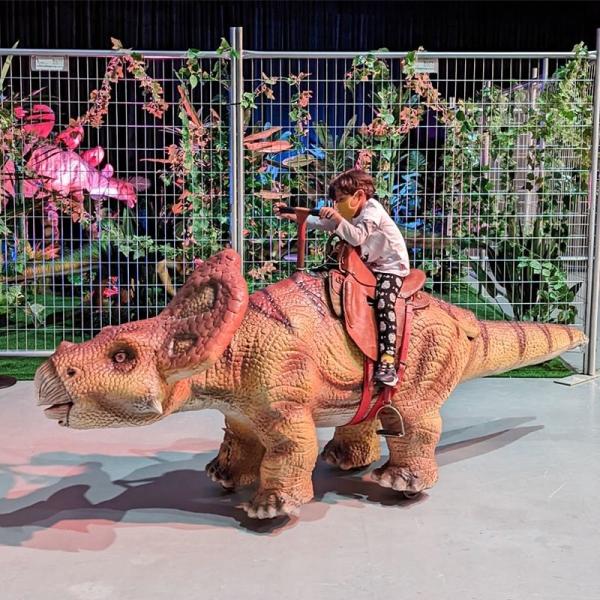 Quality Custom Electric Walking Dinosaur Ride Animatronic Triceratops Dinosaurs For for sale