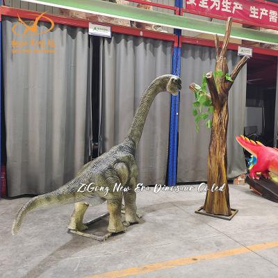 China Small Brachiosaurus Dinosaur Model for Mall Decoration and  Jurassic Park for sale