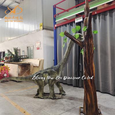 China Small Brachiosaurus Dinosaur Model for Mall Decoration and  Jurassic Park for sale
