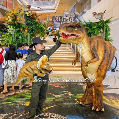 China Real Life Looking Dinosaur Costume Waterproof Hidden Legs Dinosaur Clothes for sale