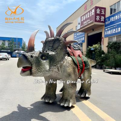 中国 電気 子供 キッディ 恐竜 ショッピングモール や 公園 で 光 と 音楽 を 伴い 走る 販売のため