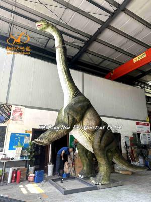China Realistic Long Neck Brachiosaurus Dinosaur Model For Jurassic Park for sale