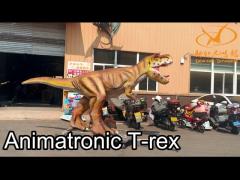 Vividi dinosauri T-Rex in dimensioni reali
