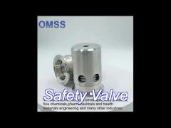 2 Inch Automatic Safety Valve Sanitary Stainless Steel Relief Valve For Industrial