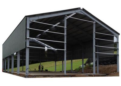 China Topshaw Light Steel Structure Pre-fabricated Workshop Shed Hangar Workshop Warehouse Design for sale