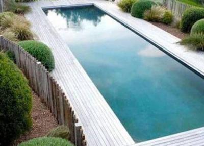 China Topshaw Friendly Environmental Design China Manufacturer Outlet Shipping Container Pool and Hot Tub for sale