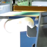 China SF-SS801 Servo Semi-Automatic Screen Printer 25pcs/Min for Irregular Shapes 8-100mm for sale