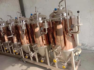 Cina Piccola elettricità automatica dell'attrezzatura della fabbrica di birra di controllo 4BBL che riscalda Eco amichevole in vendita