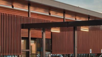 China WPC pellets WPC Exterior Wall Panel composit wood Ceiling for Interior decoration for sale