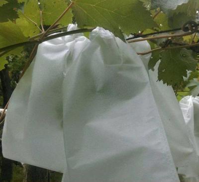 China Spot supply of fruit cold-proof fruit cover 100% PP non-woven fabric degradable environment-friendly pollution-free for sale