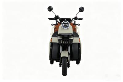 China SLEEU electric scooter, electric touring bike, leisure tricycle, EEC certified model, available for worldwide delivery, factory direct sales, customizable for sale