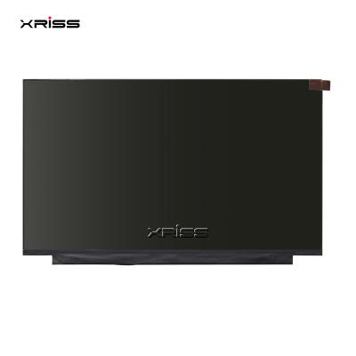 China Laptop LED-LCD-display aanraakscherm 15,6 