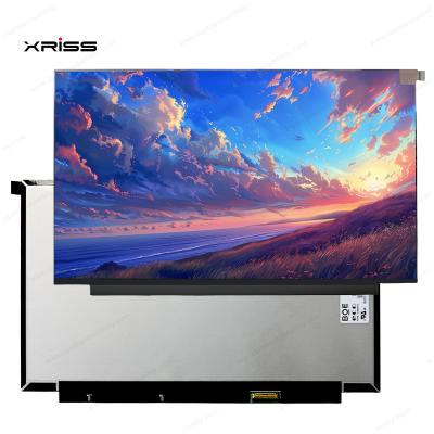 Cina 13.3 pollici touch screen per Lenovo ThinkBook 13x ITG notebook PC Digitizer assembly sostituzione in vendita