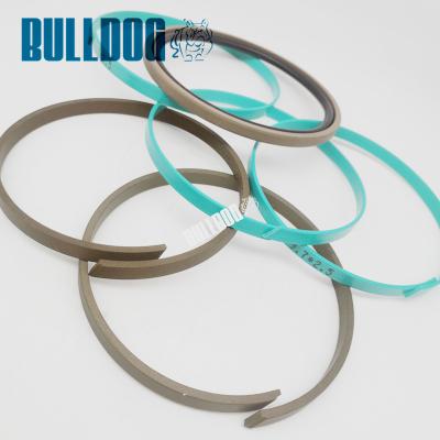 Cina 3012022 Liebherr Piston Seal Kit Per A900C A904C R912 R914B A900C-LI, R904C LI, R904C HD-SL 2000 LI, R912HD-SL, R912 LC in vendita