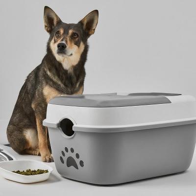 Cina Scatola di plastica durabile per gatti di design leggero Scatola di lettiera per gattini in vendita