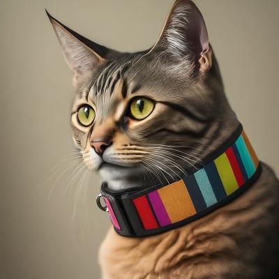 Cina Collare da animale regolabile in nylon, guinzaglie, collari e guinzaglie per cani. in vendita