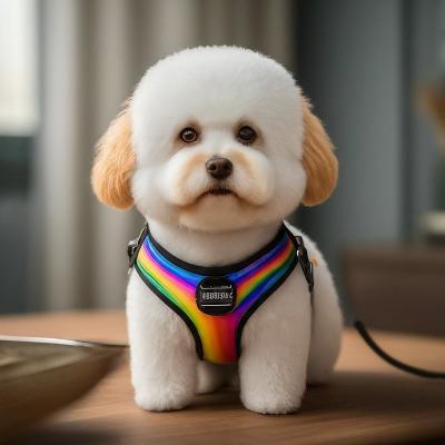 Cina Colletti per animali da compagnia regolabili con stile Leashes Arns Custom Dog Collars Leashes And Harnesses in vendita