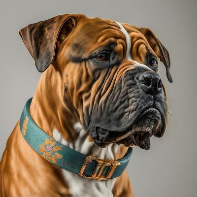 中国 スタイリッシュな犬ネックレスレアセット カスタム ネックレスとネックレスセット 販売のため