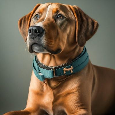 中国 スタイリッシュな犬ネックレスレアセット カスタム ネックレスとネックレスセット 販売のため