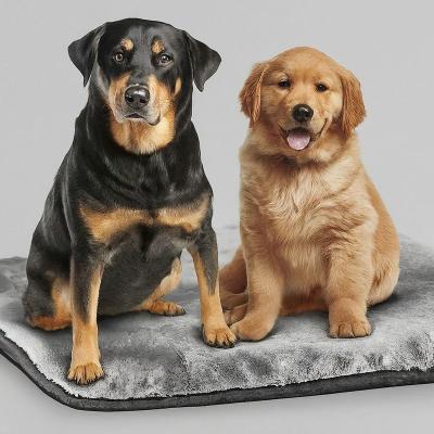 中国 マイクロプラスチ ポリエステル ペット 暖房 室内 カーボン 繊維 犬用 暖房 販売のため