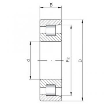 China ISO NF211 cylindrical roller bearings for sale
