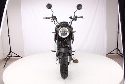 Cina Freno a disco su misura della parte anteriore del motociclo dell'incrociatore del mini motociclo di colore mini in vendita