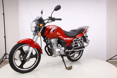 Cina Motore potente dei motocicli su ordinazione comodi della via per l'affare o la famiglia in vendita
