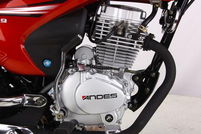 Cina Motore potente dei motocicli su ordinazione comodi della via per l'affare o la famiglia in vendita