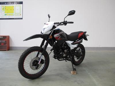 Cina Motocicli classici Off Road di stile di enduro con Cg150 motorizzato in vendita