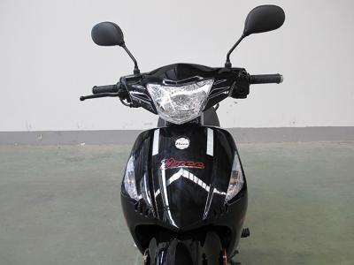 Cina Mini controllo rapido di rendimento elevato del motociclo della tasca del cucciolo della benzina in vendita