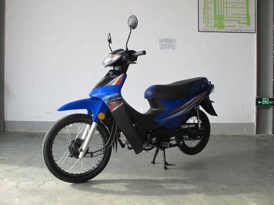 China Krachtig de Doos Facultatieve Elektrisch van de Welpmotorfiets Grote Midden of Schopbegin Te koop