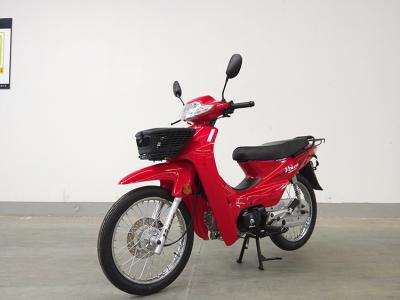 Cina Latta 110 cc di Underbone del cucciolo di altezza su misura motociclo di colore 750mm Seat in vendita