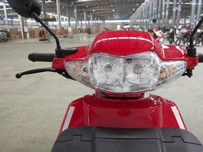 Cina Latta 110 cc di Underbone del cucciolo di altezza su misura motociclo di colore 750mm Seat in vendita
