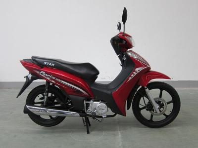Cina Mini motociclo della via del cucciolo frizione automatica di velocità massima di sicurezza di potere di 5,5 chilowatt in vendita