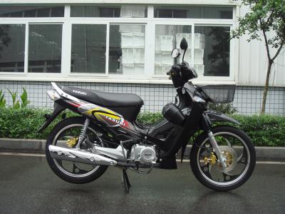 Cina La sicurezza rapida 5 del motociclo del cucciolo di controllo innesta l'altezza 110km/H di 890mm Seat in vendita
