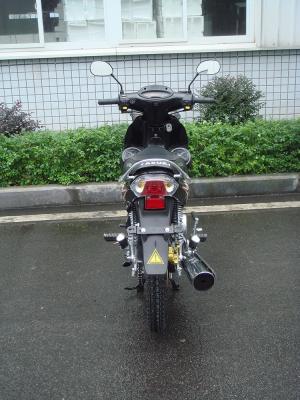 Cina La sicurezza rapida 5 del motociclo del cucciolo di controllo innesta l'altezza 110km/H di 890mm Seat in vendita
