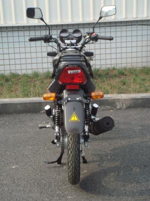 Cina Motorizzato potente della via della famiglia di affari dei motocicli su ordinazione della scivolata in vendita