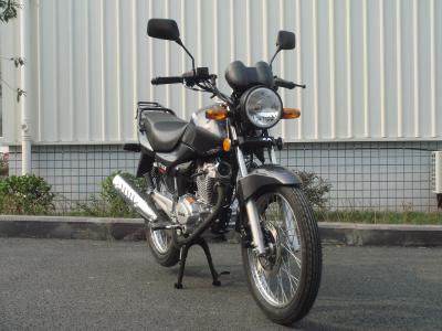 Cina Motorizzato potente della via della famiglia di affari dei motocicli su ordinazione della scivolata in vendita