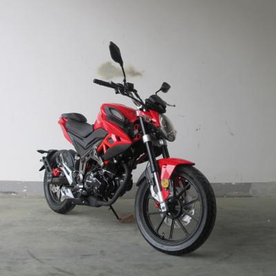 Cina Motociclo nudo di sport dell'accensione 250CC di CDI TR250-U3 in vendita