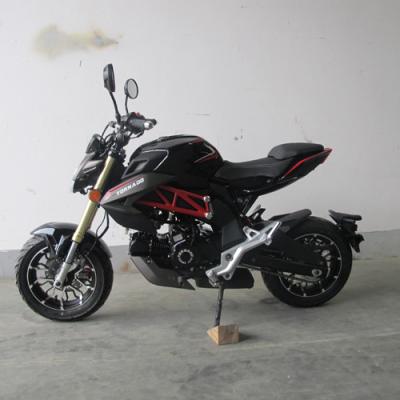 Cina TR125-U1 7500RPM 125CC Mini Sports Motorcycle in vendita