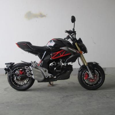 Cina TR125-U1 7500RPM 125CC Mini Sports Motorcycle in vendita