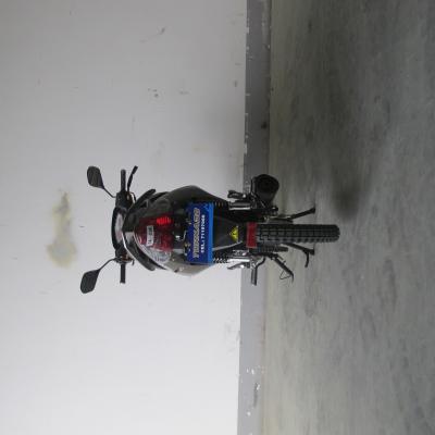 Cina Motociclo del cucciolo dell'accensione TR135-NF 135CC di CDI 7500RPM in vendita