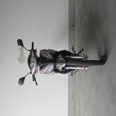 Cina Motociclo del cucciolo dell'accensione TR135-NF 135CC di CDI 7500RPM in vendita