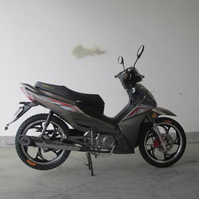 Cina Motociclo del cucciolo dell'accensione TR135-NF 135CC di CDI 7500RPM in vendita
