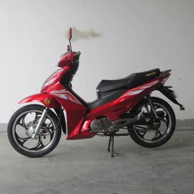 Cina Motociclo del cucciolo dell'accensione TR135-NF 135CC di CDI 7500RPM in vendita