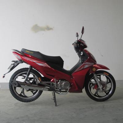 Cina Motociclo del cucciolo dell'accensione TR135-NF 135CC di CDI 7500RPM in vendita
