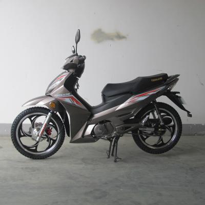 Cina Motociclo del cucciolo dell'accensione TR135-NF 135CC di CDI 7500RPM in vendita