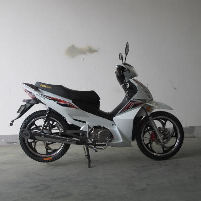 Cina Motociclo del cucciolo dell'accensione TR135-NF 135CC di CDI 7500RPM in vendita